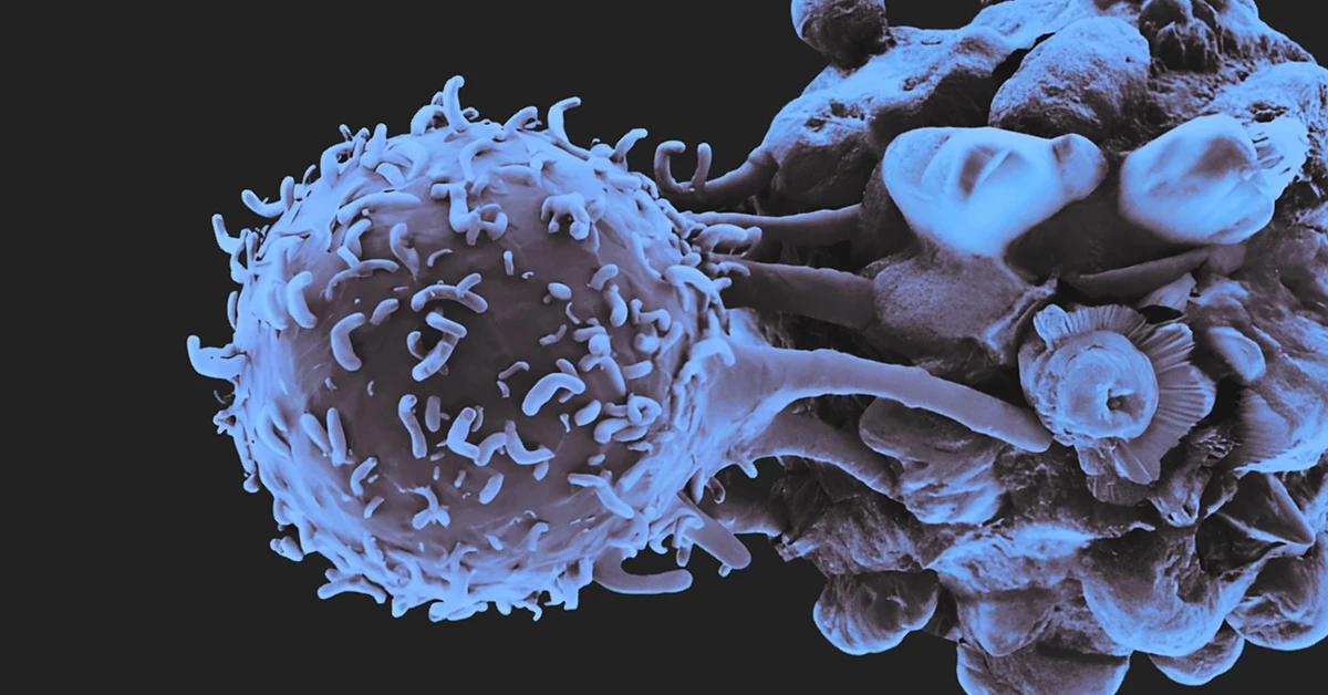 From Cells to Cures: The Revolution of the Living Drug